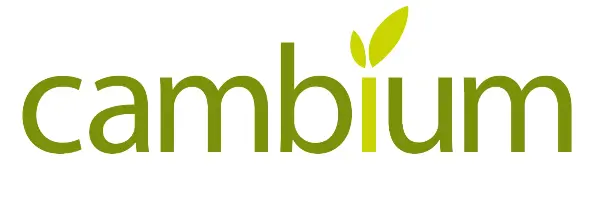 How 5G Providers can adapt to the new clean energy focus | Cambium LLP